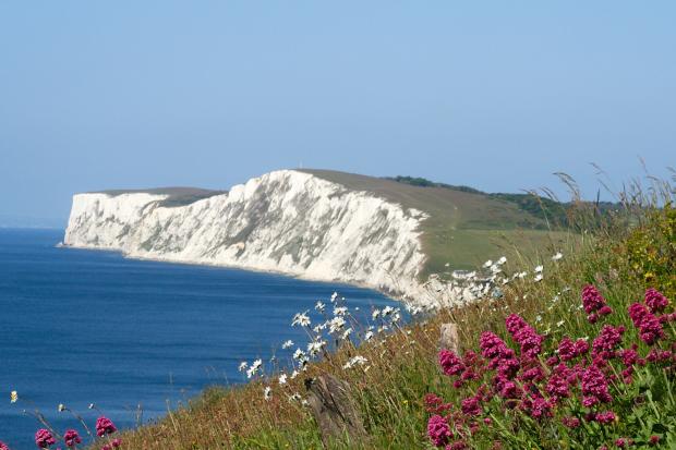 Questions asked over Isle of Wight UN Biosphere committee's cost to ...