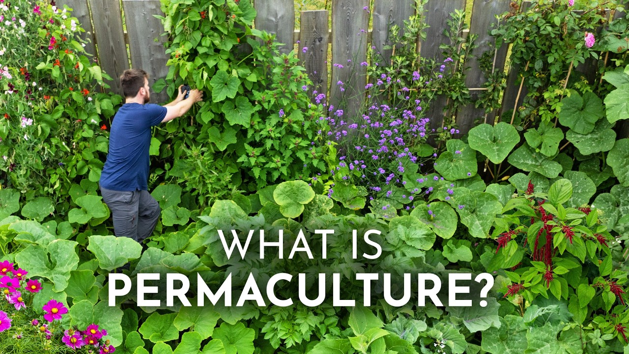 Learn permaculture in 6 minutes