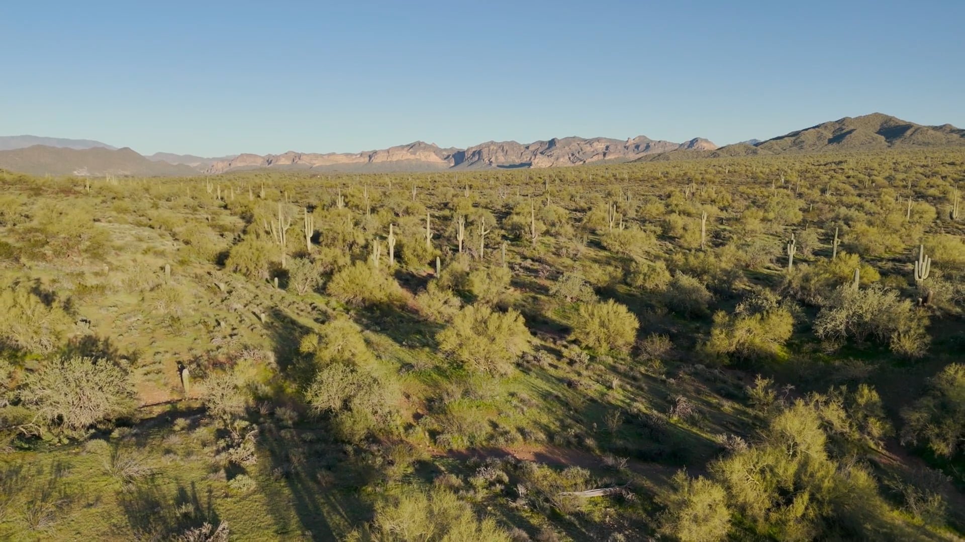 Drone Flight Over Saguaro National Park, Arizona