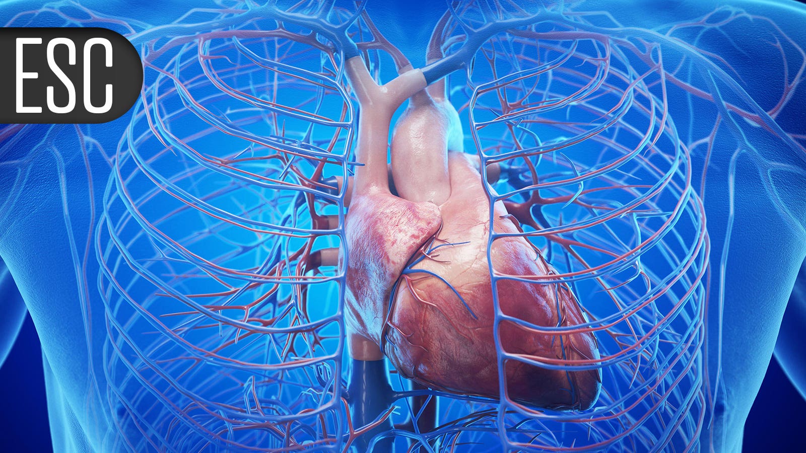 Afib Diagnoses Up With Patch Monitors Dropped in People's Mailboxes