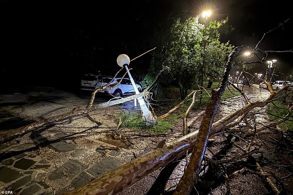 13 Lenox Designs That Capture the Transition From Traditional to Modern