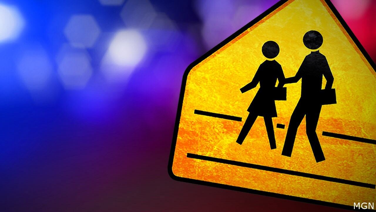 Lockdown lifted at Green Bay East after fight in park revealed airsoft gun