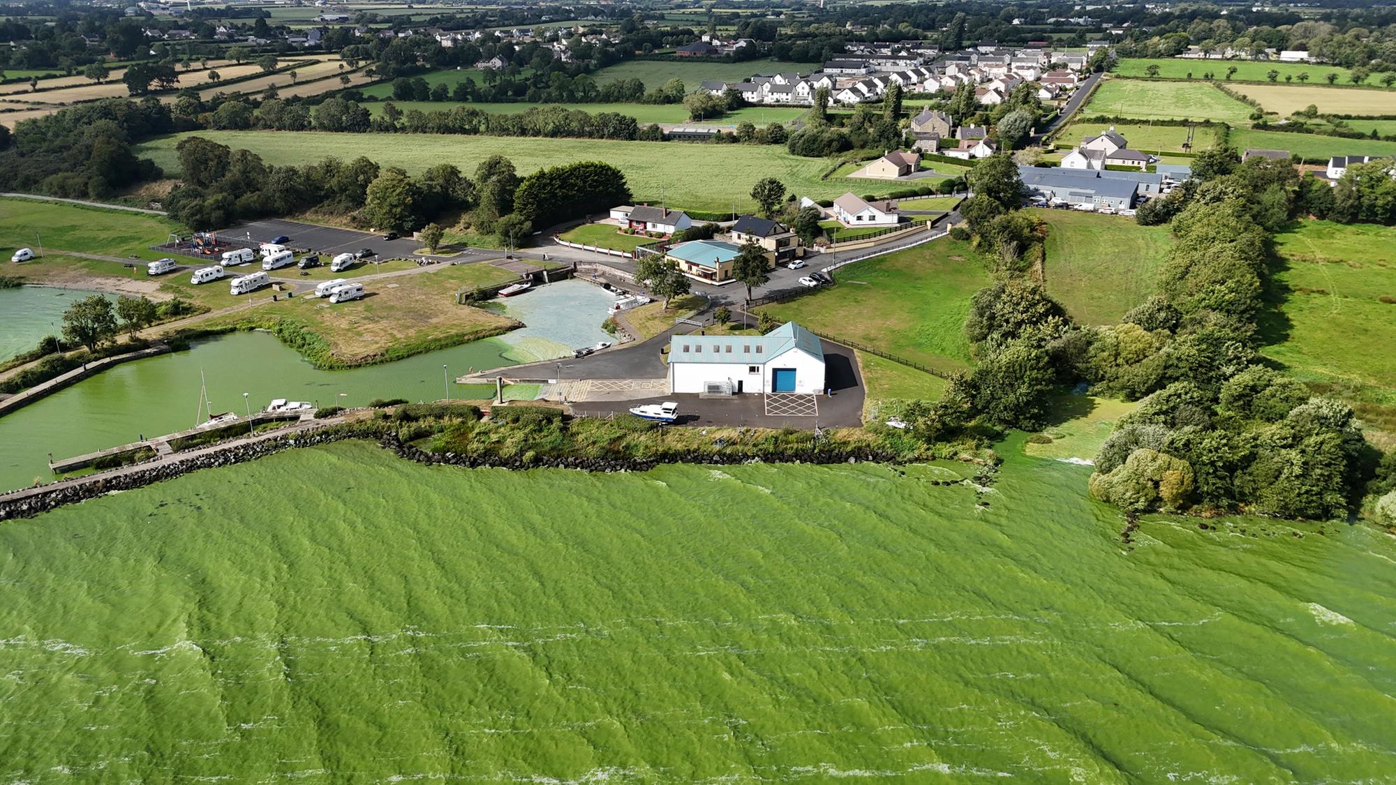 Lough Neagh blue green algae crisis: 'Victimisation' of farmers won’t ...
