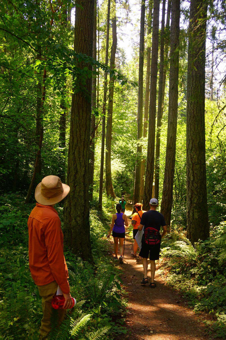 New parks, trails saved from development in Pierce County after $6.4M ...