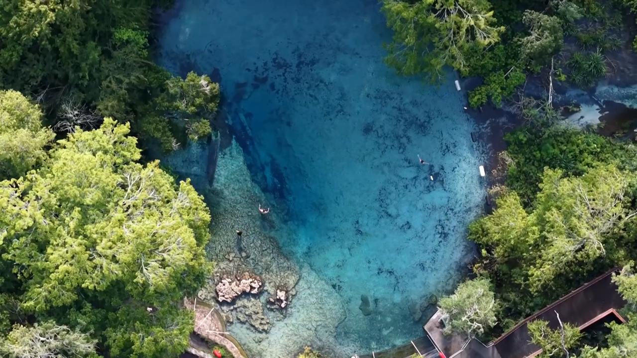 Florida's once-pristine springs threatened by pollution, development ...