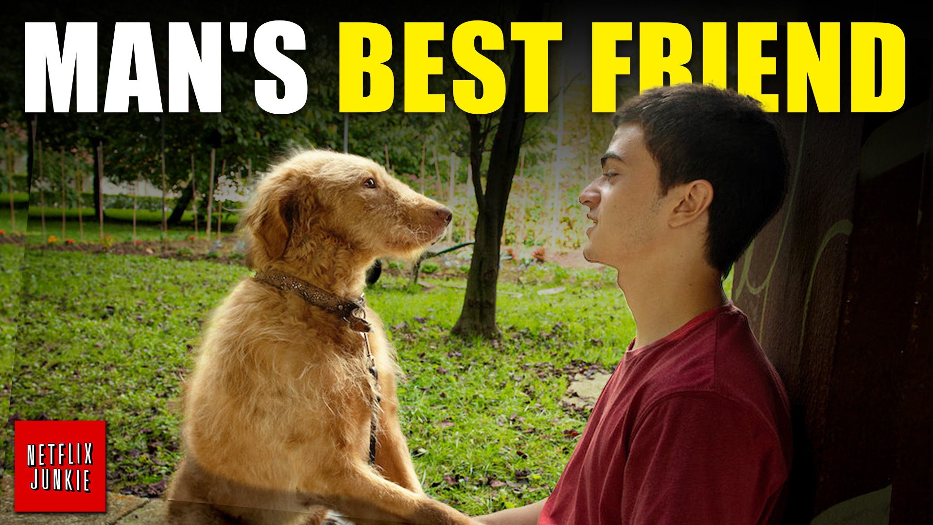 Netflix's Top 3 Dog Movies That Prove Paws Heal Hearts