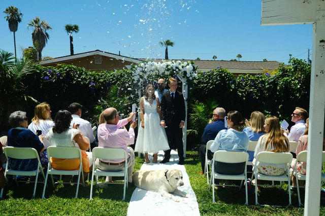 Senior Dog Steals the Show at Bride and Groom's Backyard Wedding ...