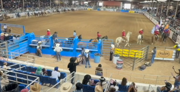 Labor Day Weekend: Arizona Black Rodeo, Lil Wayne, "Weird Al" Yankovic ...