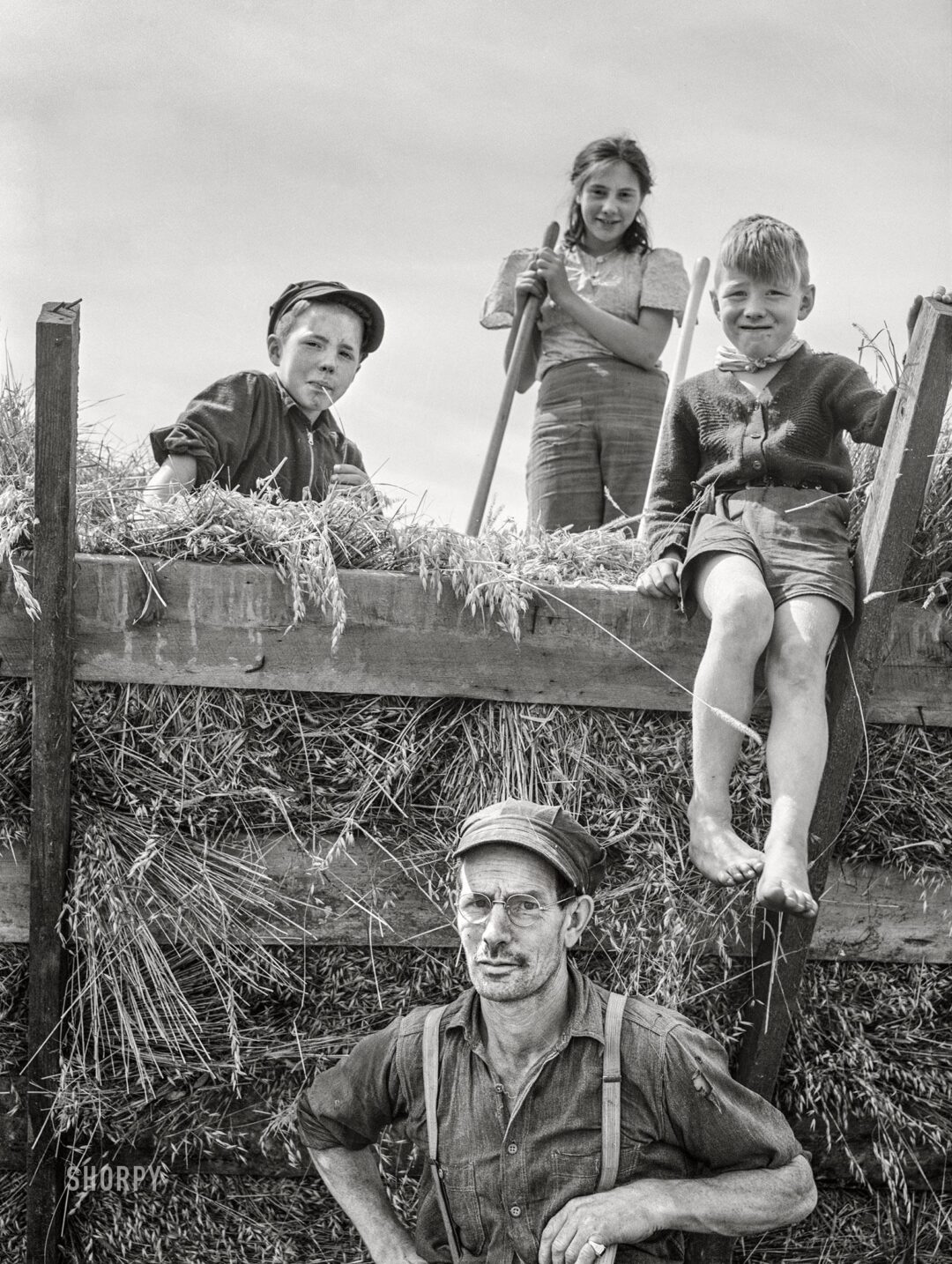 16 Vintage Snapshots of Hard-Working Farmers