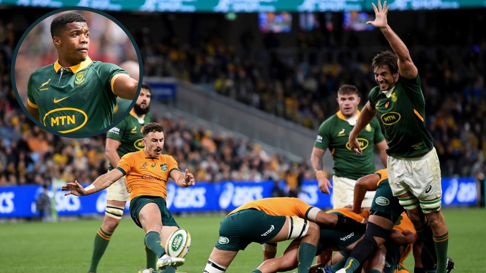 Nic White singles out two Springboks for special praise after recent ...