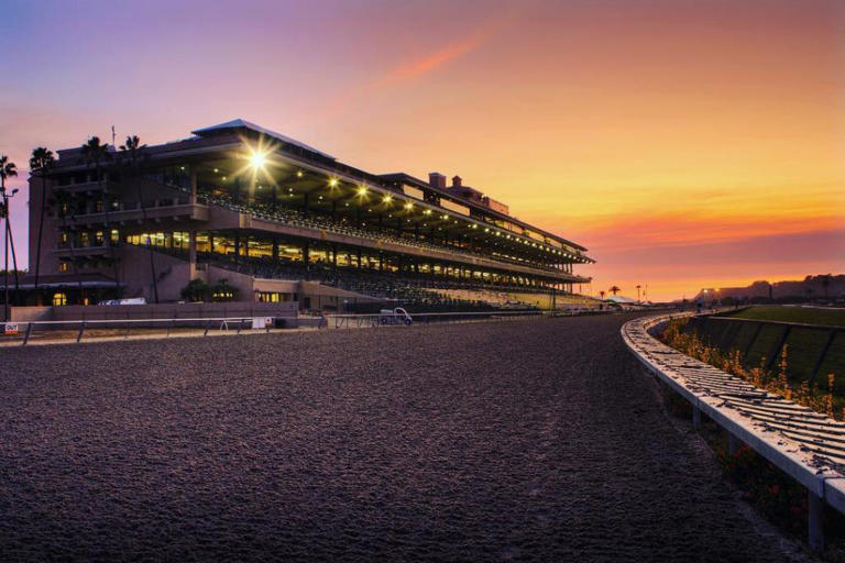 $7M Breeders’ Cup Classic highlights Saturday race schedule at Del Mar