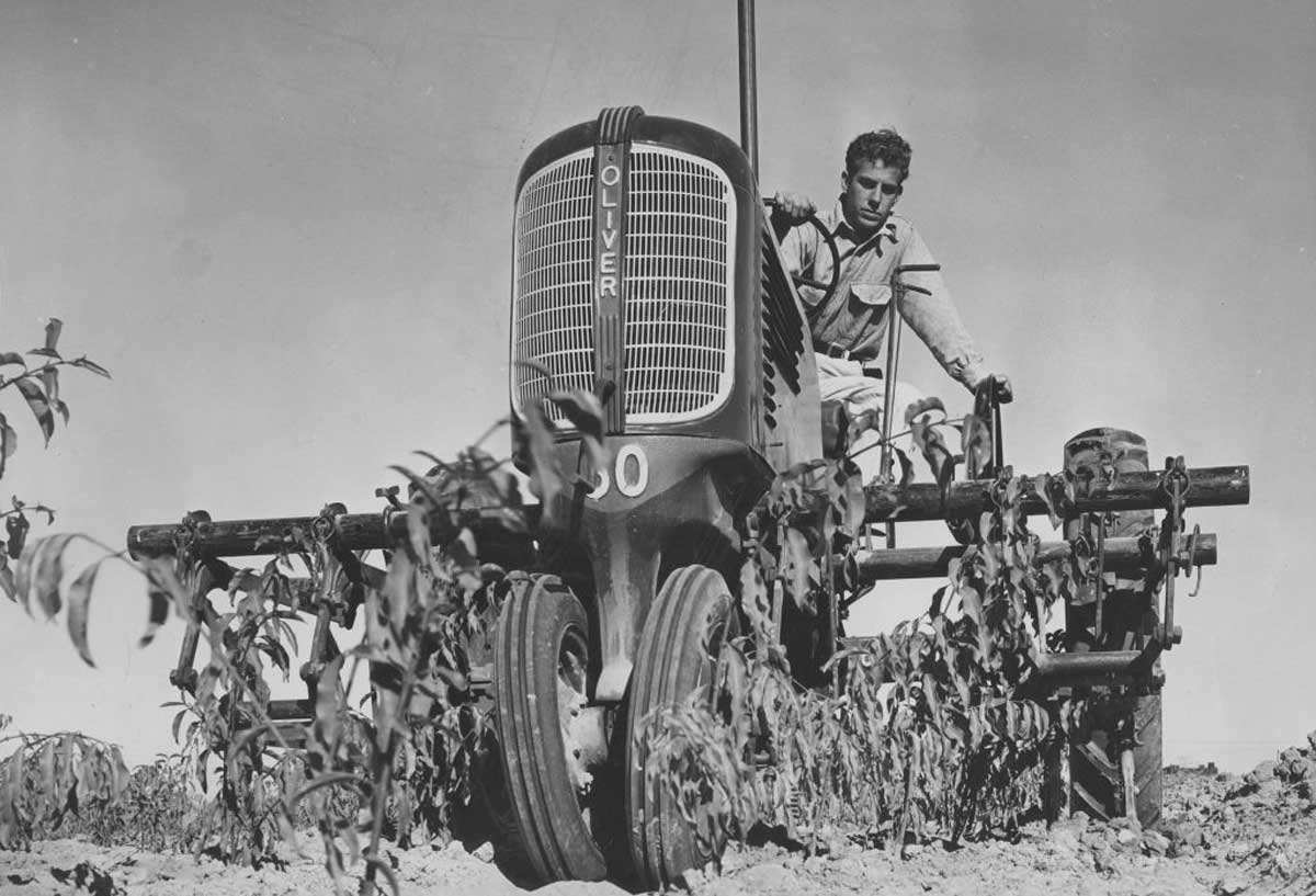 16 Vintage Snapshots of Hard-Working Farmers