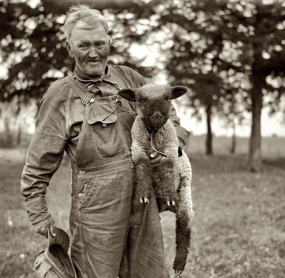 16 Vintage Snapshots of Hard-Working Farmers