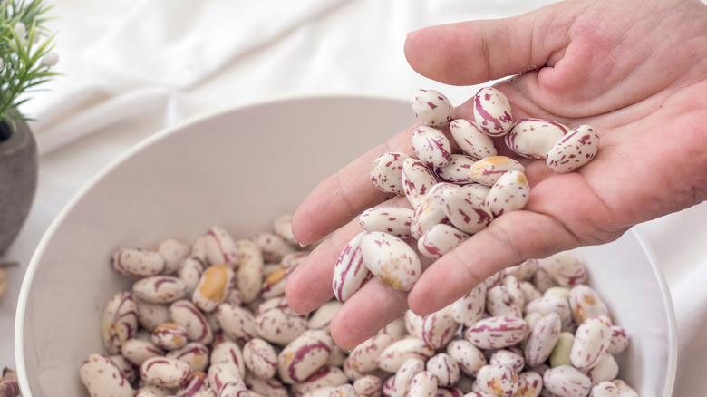 11 Tips For How To Cook Beans