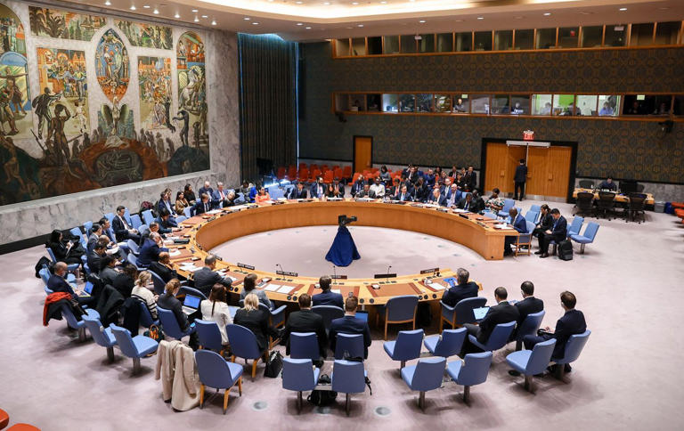 UN Security Council to meet after Russia's deadly attack on Kyiv