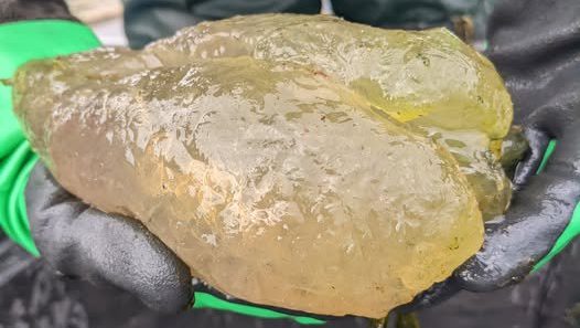 What are the giant living mutant blobs invading US waterways?