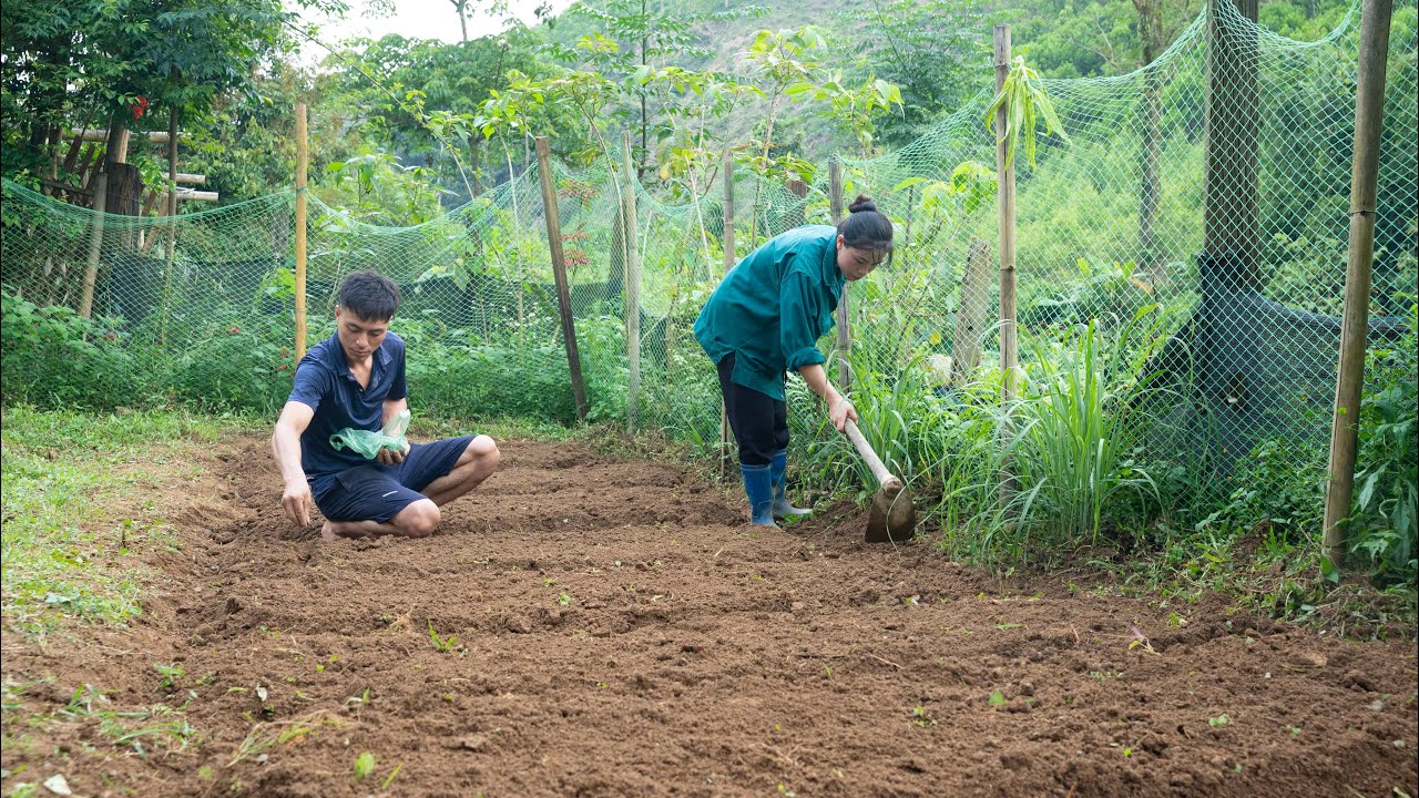 Menanam dan memanen: pengalaman seru di farm