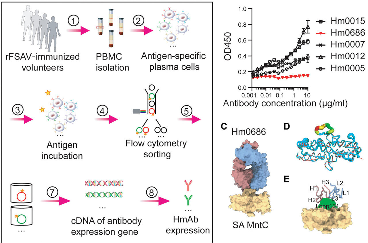 Scientists move toward developing vaccine against pathogenic ...