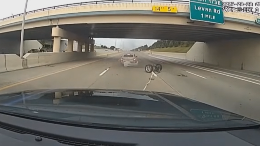 Video shows rear axle fly off stolen car after Livonia police use ...