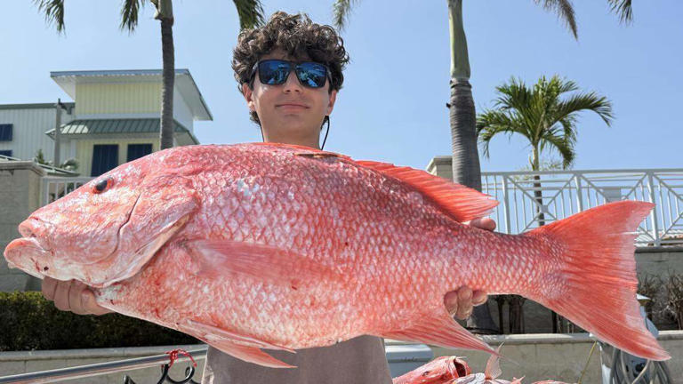 Un pescador de Florida capturó un pargo rojo con una sorpresa escondida ...