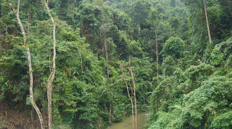 ‘Long'-armed creature with row of ‘dagger-like' spines discovered as ...