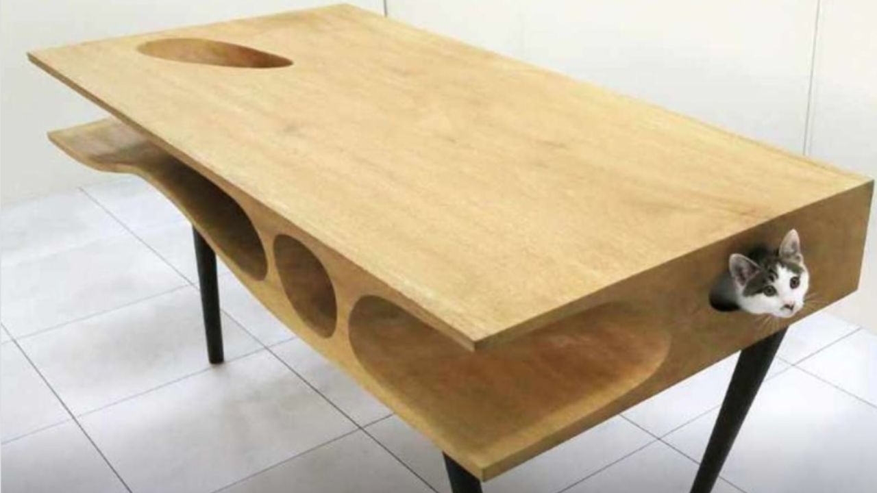 CATable: the table that is both furniture and a playground for cats