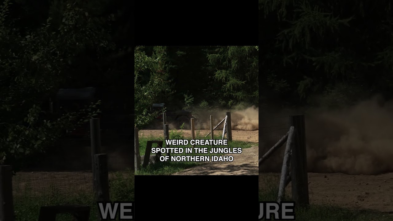 Weird creature spotted in North Idaho