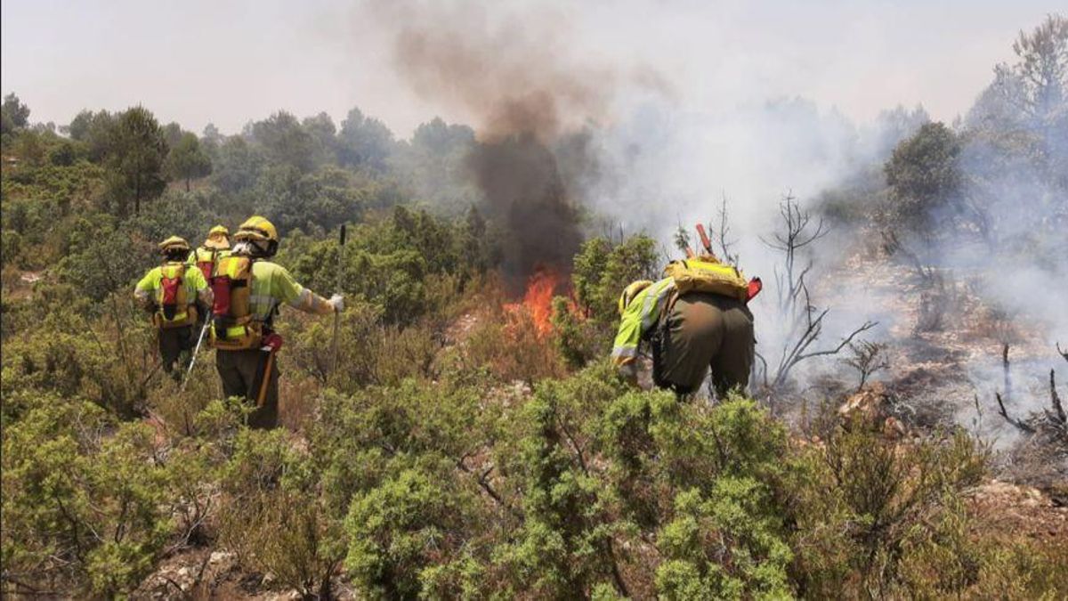 Vaersa prescinde de más de 30 trabajadores forestales pese a la ...