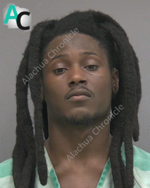 20-year-old arrested for having a gun in plain view in his car