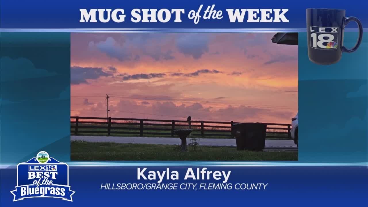 Mug Shot Kayla Alfrey