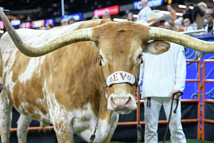 Sorry, Aggies. Here's the true story behind Texas Longhorns' Bevo name