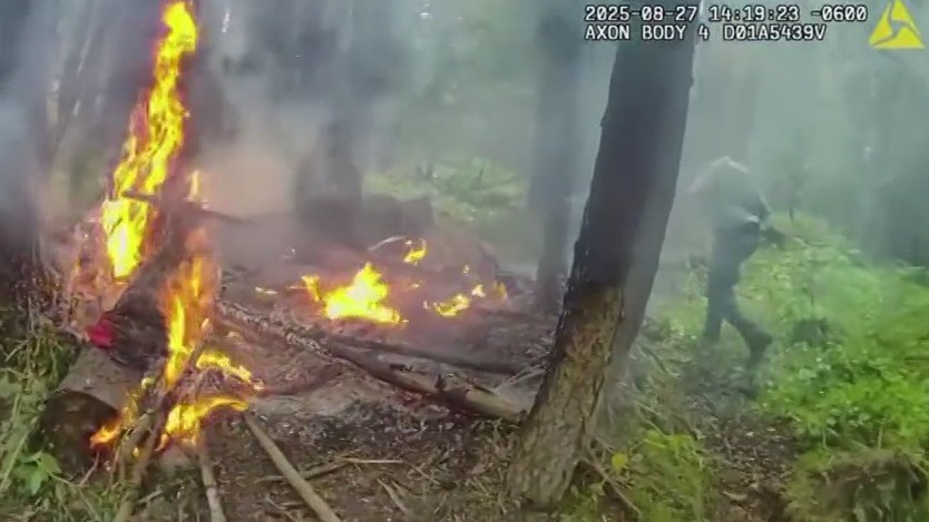 Man arrested, accused of starting small wildfire while camping in ...