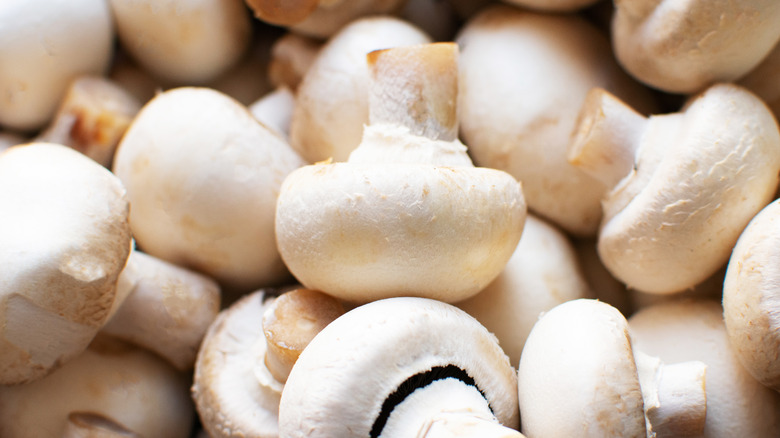 15 Mushroom Varieties You Can Grow At Home