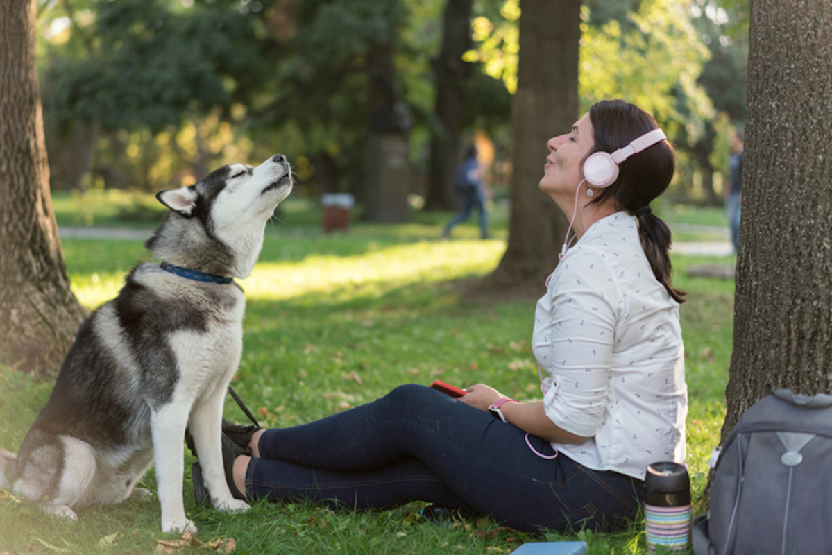 Why Do Dogs Howl to Music? How to Train the Behavior—Or Get It to Stop