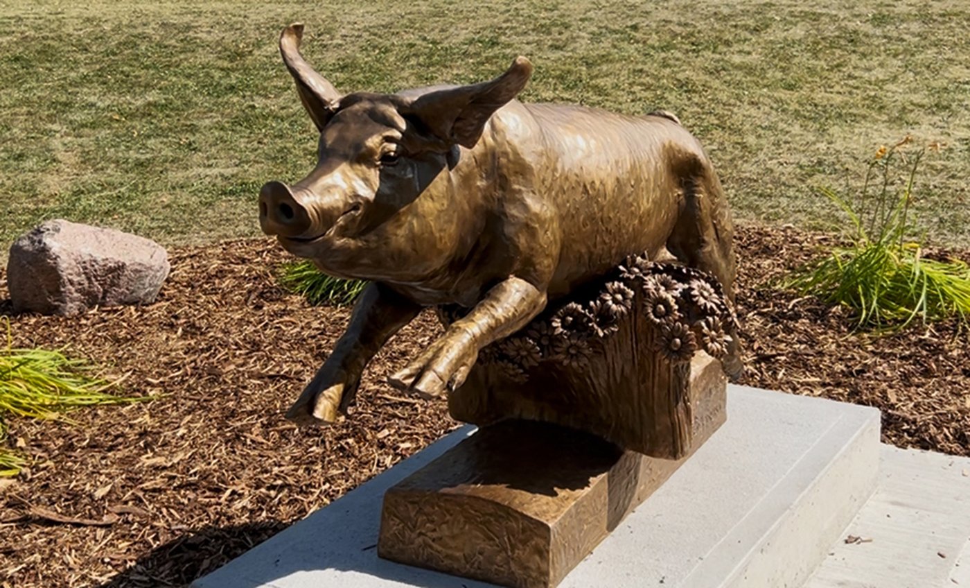 'Freedom-loving hog': City salutes swine that staved off slaughter with ...