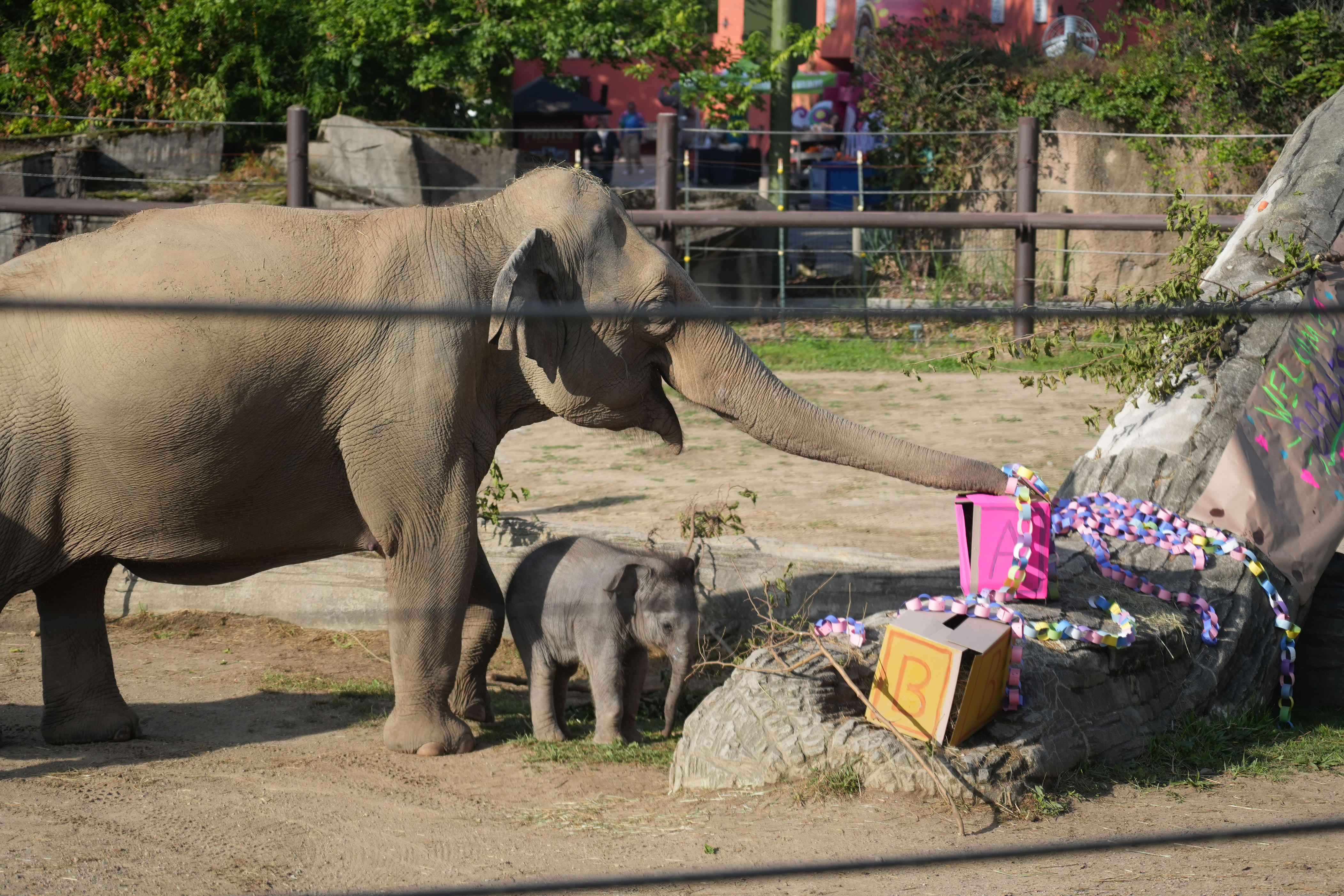 Columbus is better than the Columbus Zoo. Wild animals being exploited ...