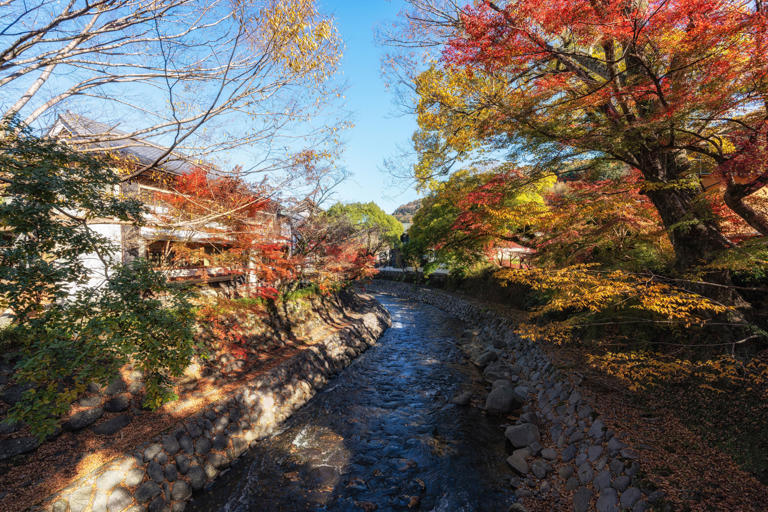 8 hotels that show off the many facets of Japan