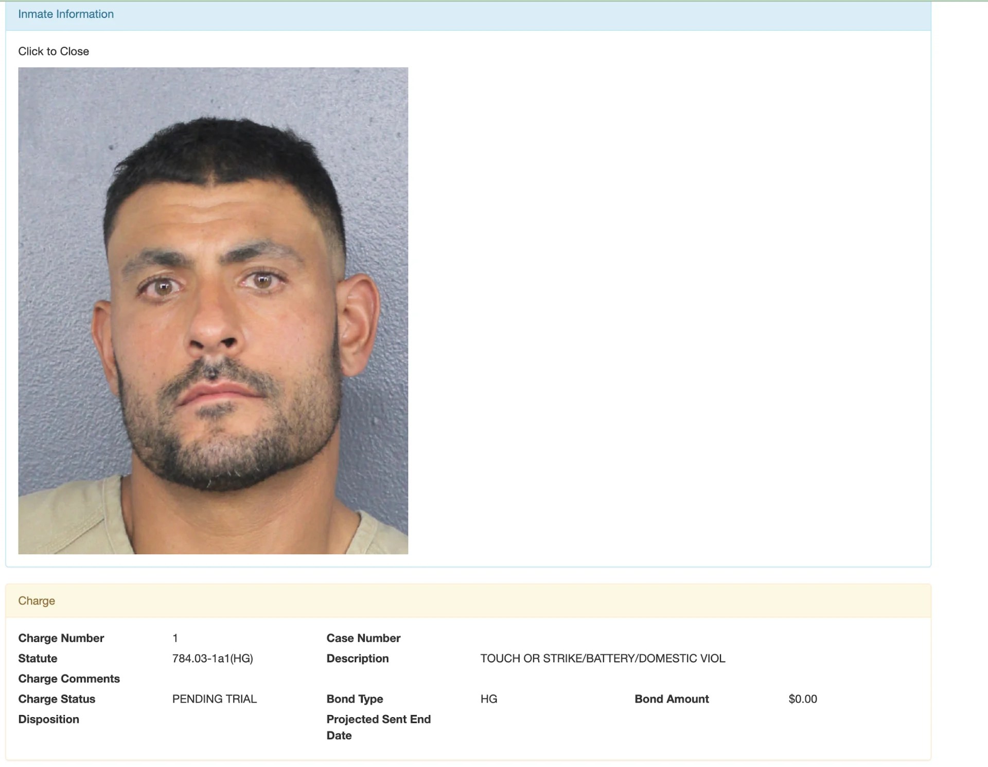 Miami Dolphins Coach Arrested on Battery Charges