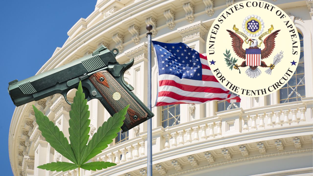 Could the Feds Strip Gun Rights Based on Politics? 10th Circuit Opens ...