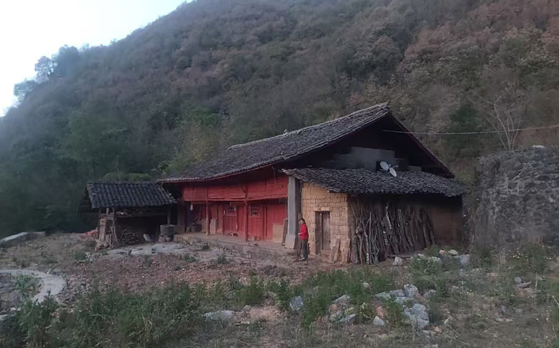 ‘Slender' creatures used in China village as sore throat ‘remedy' are ...