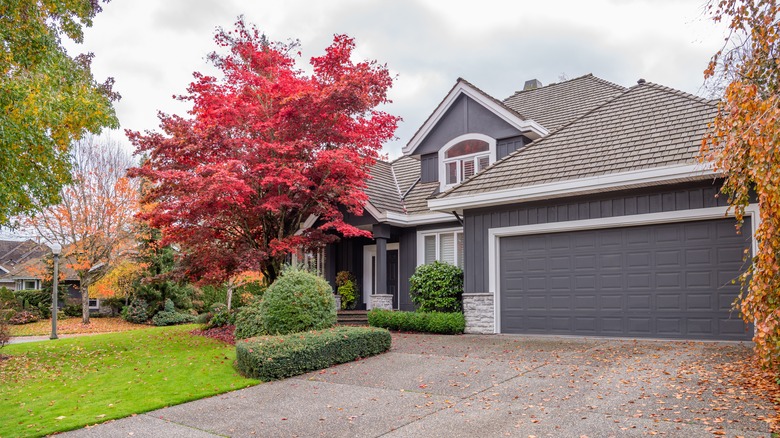 The Best Type Of Garage Door Seal For Keeping Out Pests, Water, And Drafts