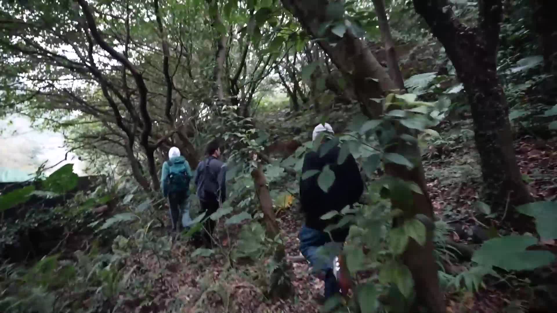 We discovered an abandoned bunker filled with eerie statues