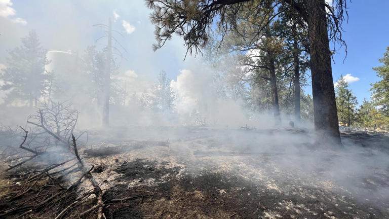 Where are the fires in WA? Here's a map of the wildfires burning across ...