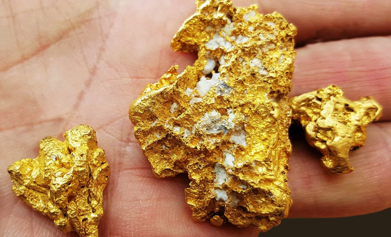 19 Tons of Gold and a Hidden Rare Earth Trove Just Found in a Remote Region
