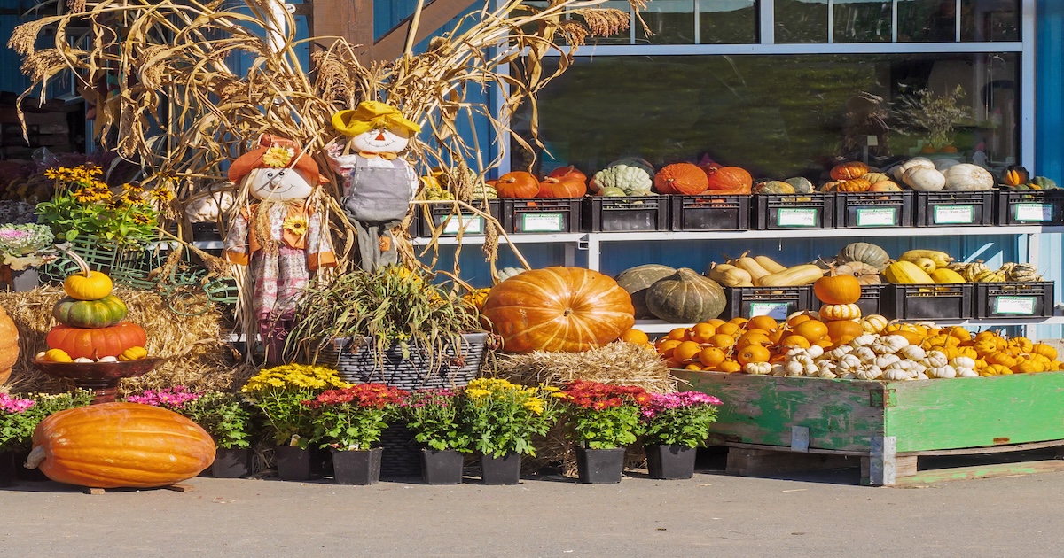 Best Fall Festivals in Colorado: Mountain Harvest Festival
