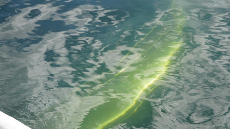 Photos: Truck, trailer fully submerge at Chatfield Reservoir boat ramp