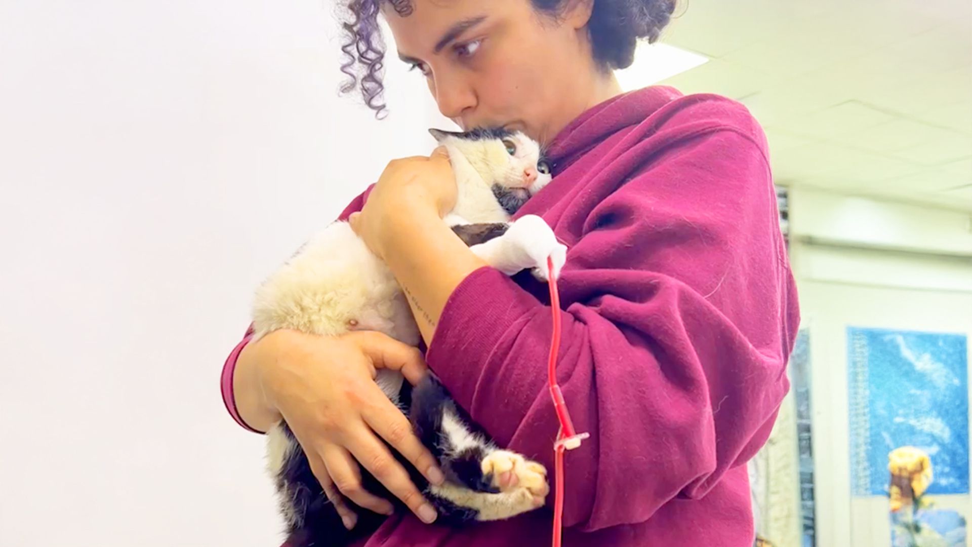 Woman Gives 'Miracle' Cat A Second Chance At Life