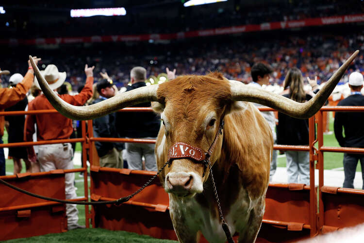 Sorry, Aggies. Here's the true story behind Texas Longhorns' Bevo name