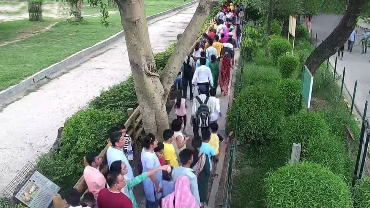 Delhi zoo shut: 2 dead painted storks test positive for bird flu ...