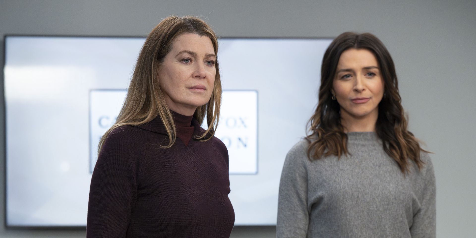 Grey's Anatomy Season 22 Missed Opportunity Sees Reunion Falls Short